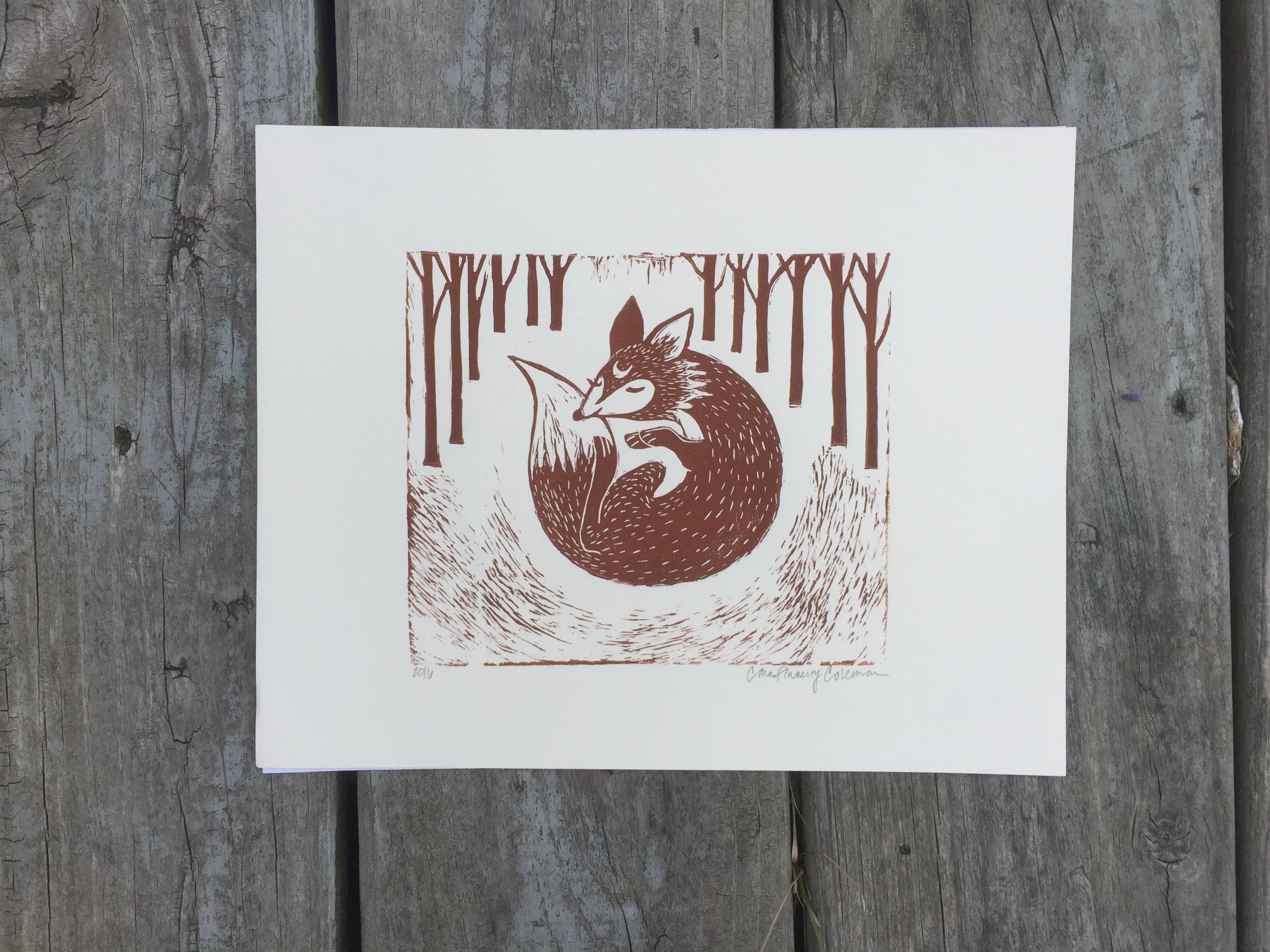 The Lino Prints – Little Bear Illustration